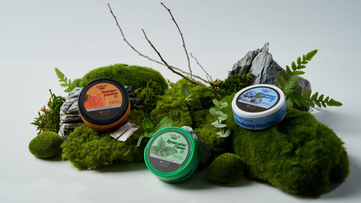 Where is Snus Popular? An Overview – NUPLUS-Nicotine pouches online store